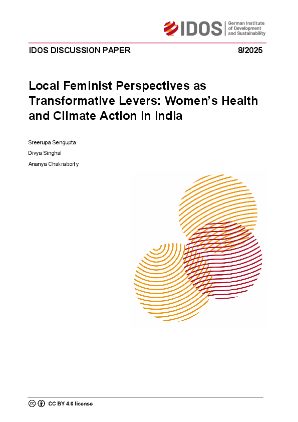 Local feminist perspectives as transformative levers: women’s health ...