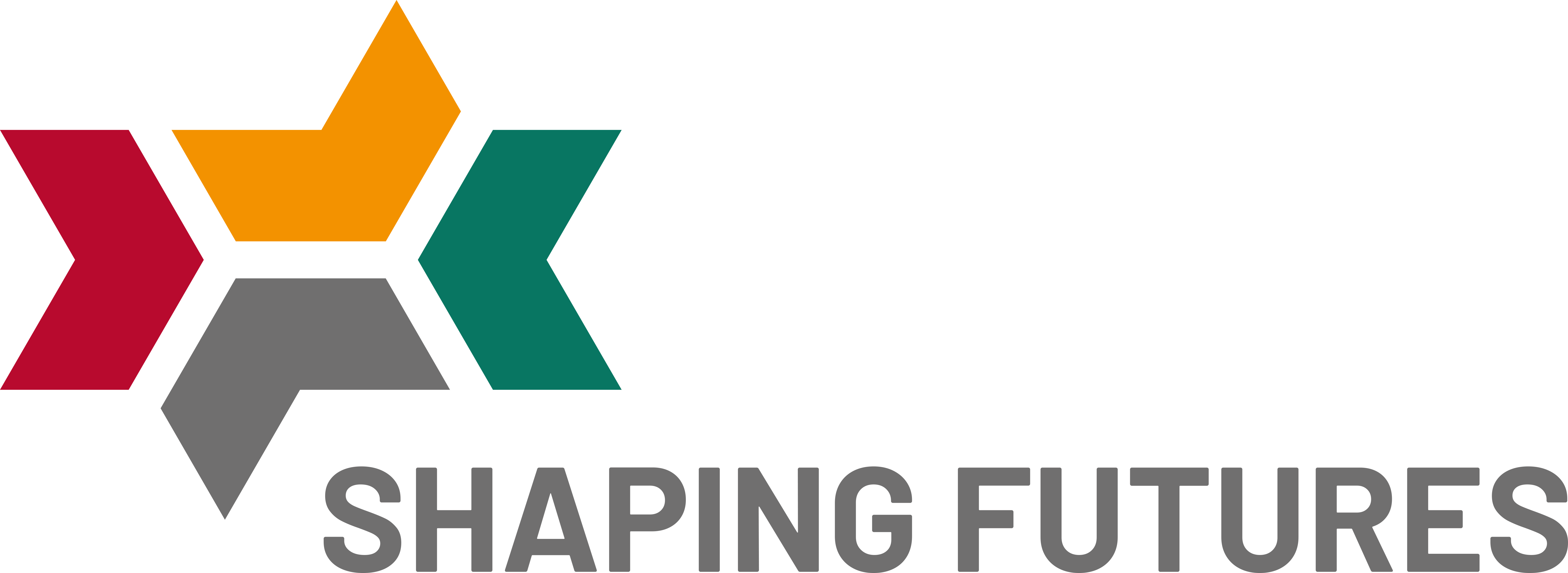 Format and Content of the Shaping Futures Academy - German Institute of ...