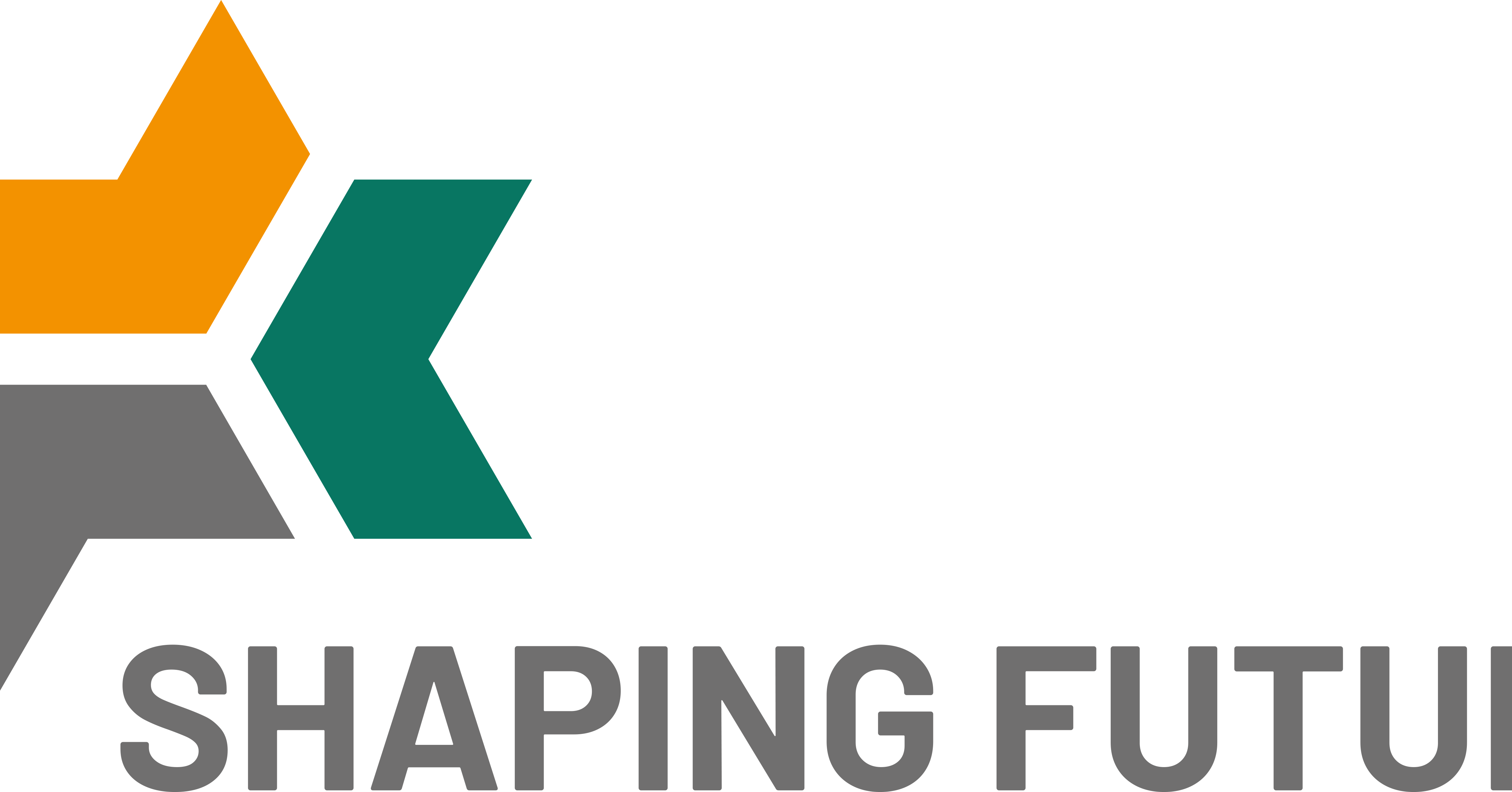 Praktikum Shaping Futures Academy - German Institute of Development and ...