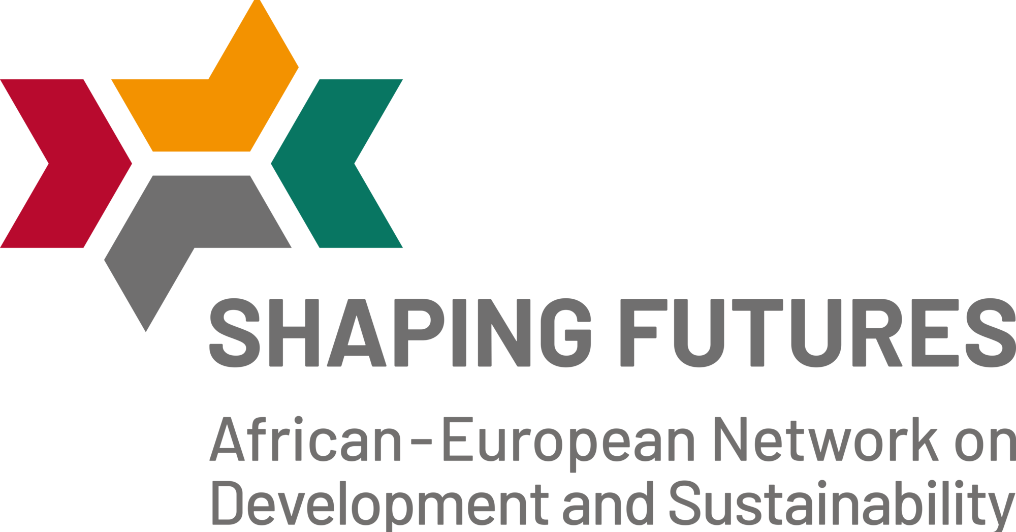 Shaping Futures Network - German Institute of Development and ...