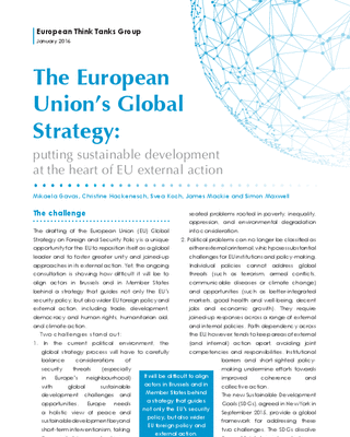 The European Union’s global strategy: putting sustainable development ...