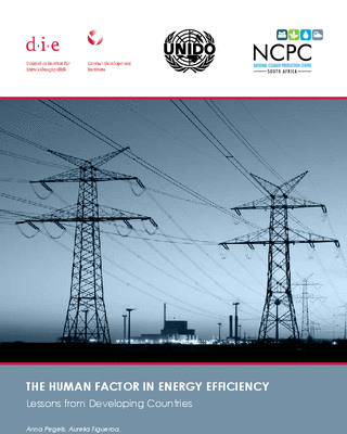 The human factor in energy efficiency: lessons from developing countries